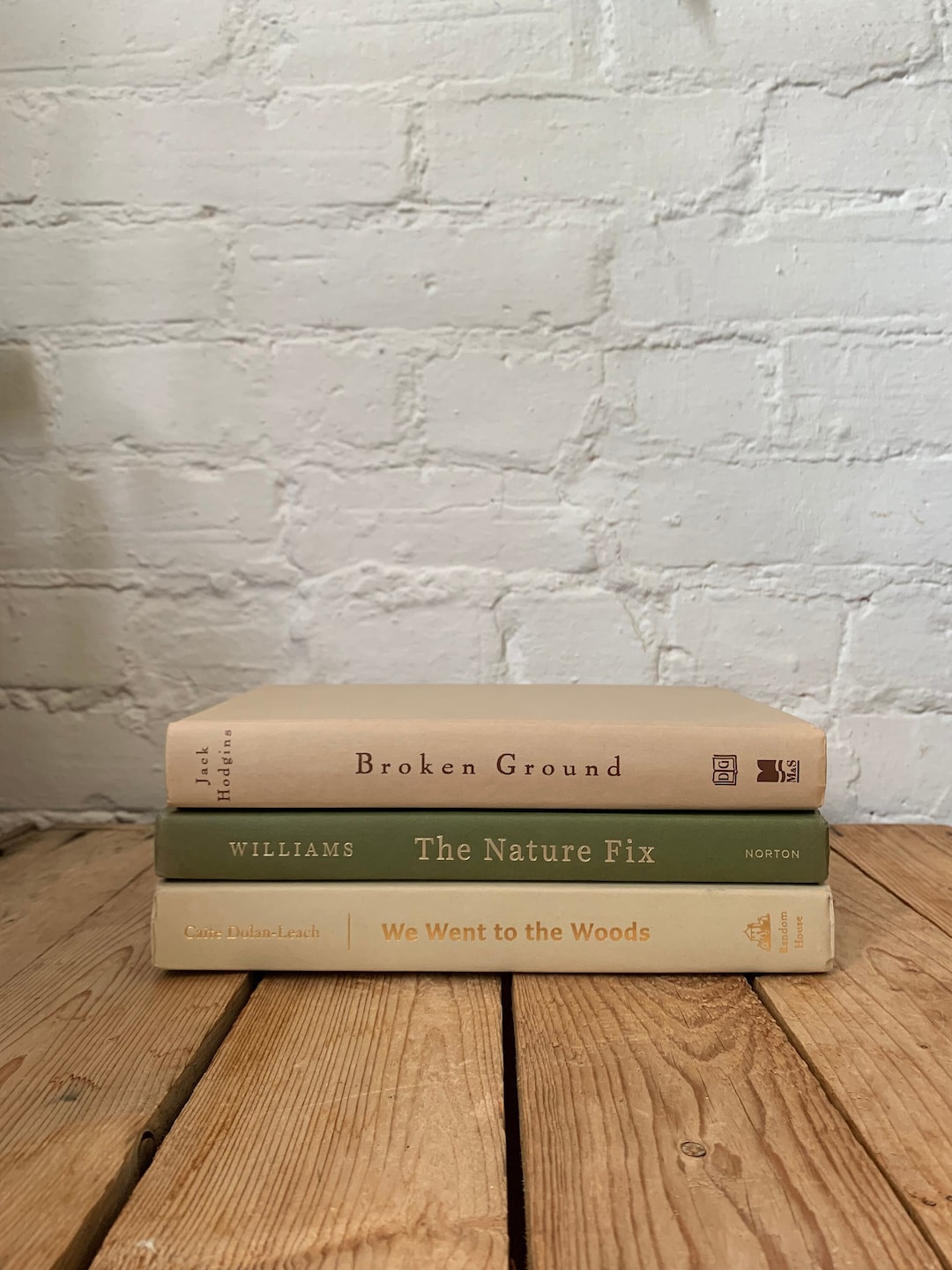 Earthy Decorative Books Stack, Neutral Styling Books, Real Decorative ...