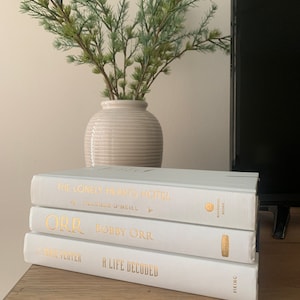 White Book Stack, White Shelf Aesthetic, White Themed Books, Ivory ...
