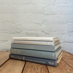 Grey Blue White Book Stack, White and Light Gray Book Decor, Decorative ...