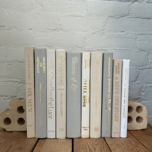 Soft Neutral Decor Books, Neutral Staging Books in Soft Blueish Gray ...