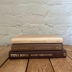 Brown Ombré Book Stack, Monochromatic Decor Books With Brown Beige ...