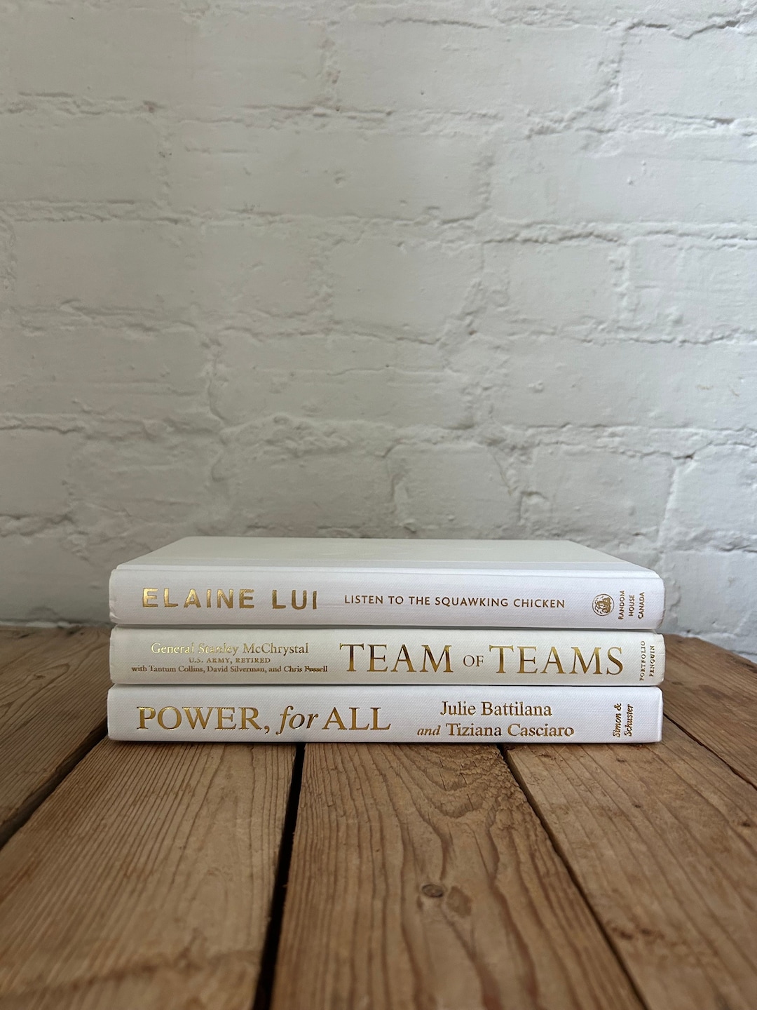 White Decorative Books, White Book Stack, White Home Decor Styling ...