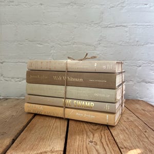 Cream Book Stack, Neutral Vintage Book Set, Decorative Book Stack ...