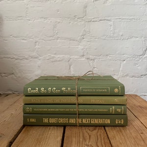 Olive Green Book Stack, Olive Green Book Decor, Decorative Books ...
