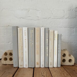 Soft Neutral Decor Books, Neutral Staging Books in Soft Blueish Gray ...