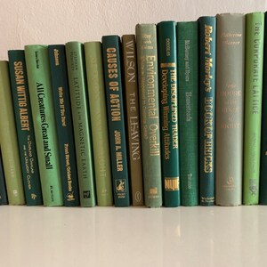 Green Decorative Books, Green Home Decor Accent Ideas for Bookshelf ...