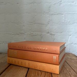 Bundle of Peach Toned Books, Light Orange Book Stack, Decorative Books ...