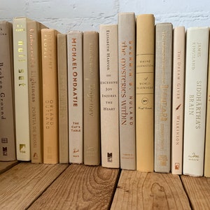 Custom Neutral Book Stack, Decorative Books for Shelf Staging, Books by ...
