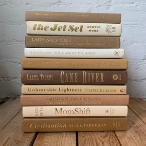 Neutral Toned Book Decor, Tan and Cream Books, Shelf Decor, Decorative ...