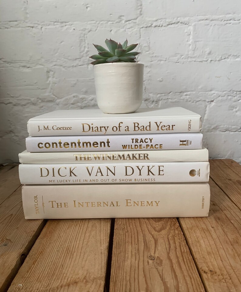 White Book Stack White Shelf Aesthetic White Themed Books - Etsy Canada
