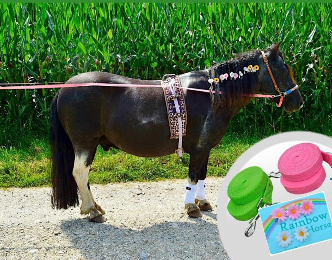 Long Reins, 1 Pair, Neon Colors - Etsy