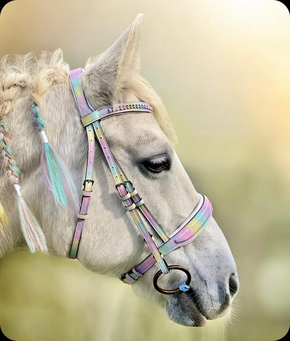 Leather Pony Bridle Pony Bridle – Black Leather Crystal English Flash ...