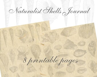 Anatomy Drawings Printable Notes Pages | Diary Journal Pages ...