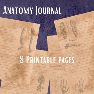 Anatomy Drawings Printable Notes Pages | Diary Journal Pages ...