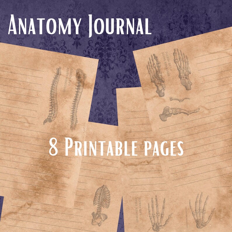 Anatomy Drawings Printable Notes Pages Diary Journal Pages Printable ...