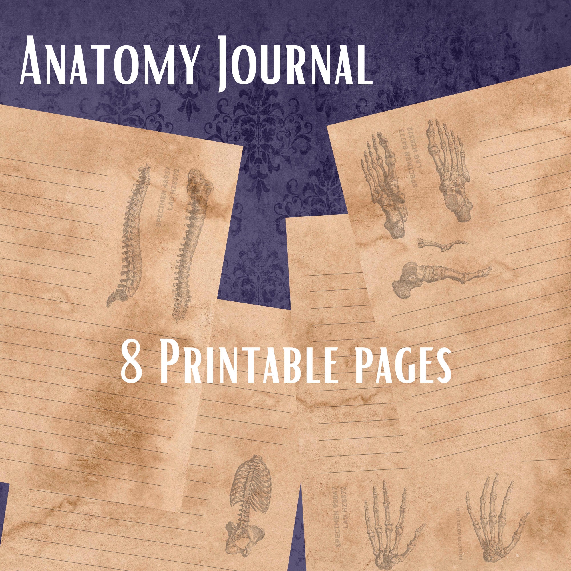 Anatomy Drawings Printable Notes Pages | Diary Journal Pages ...
