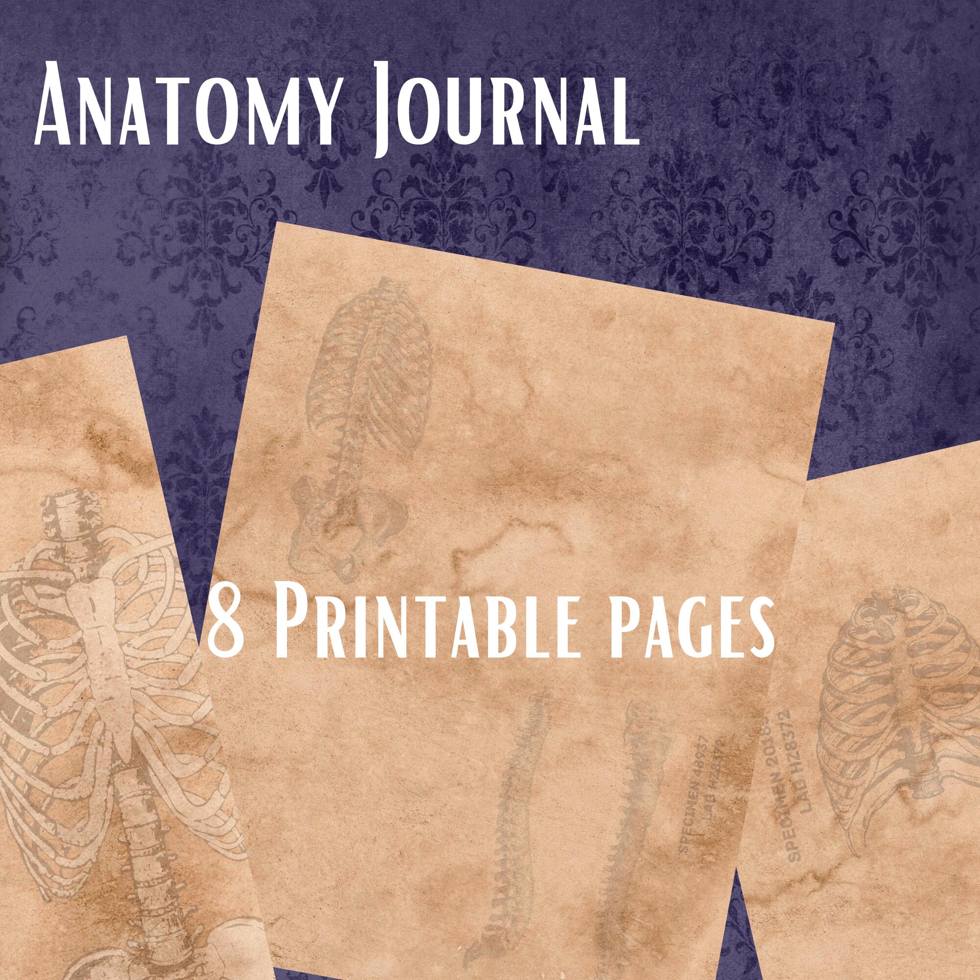 Anatomy Drawings Printable Notes Pages | Diary Journal Pages ...