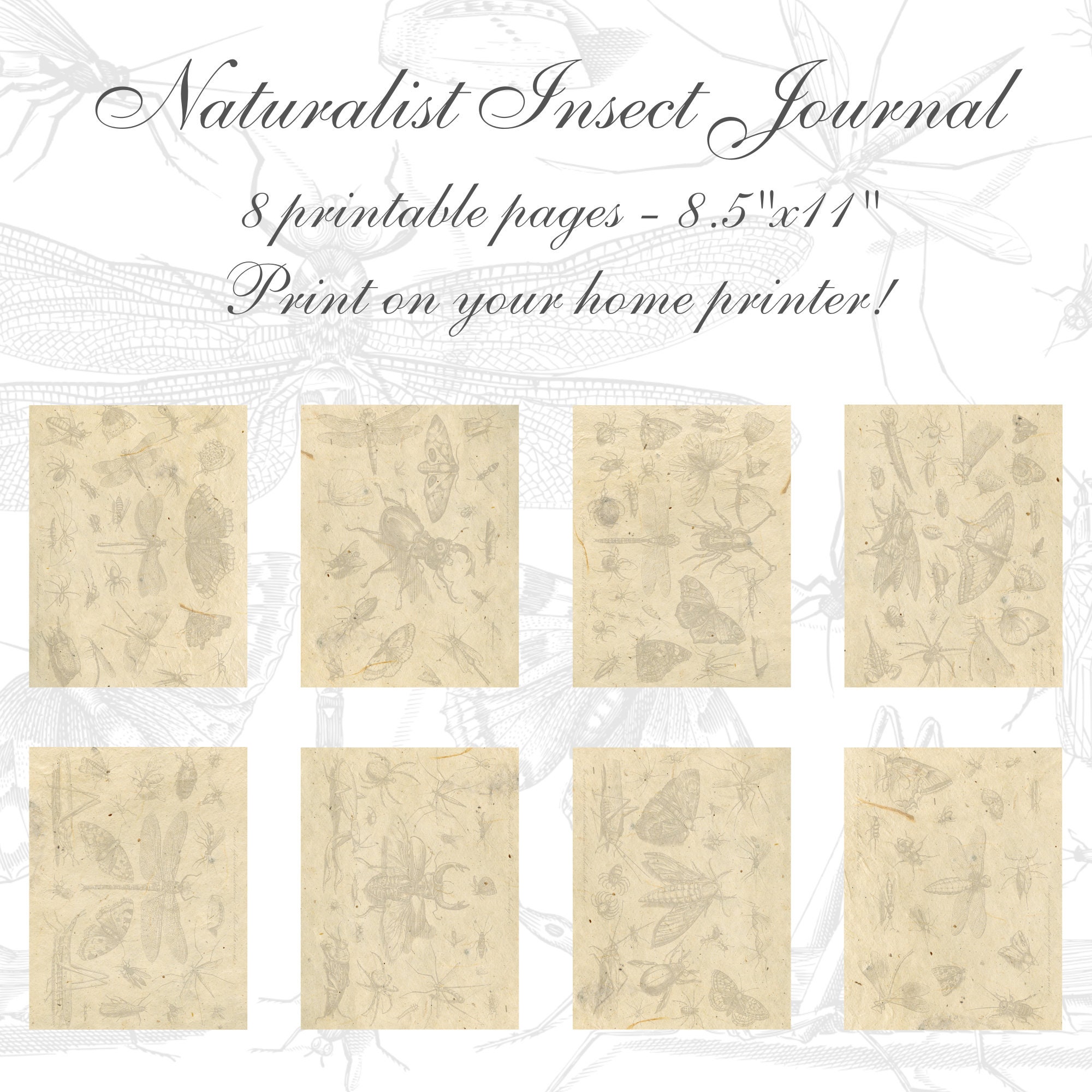 Insects Drawings Printable Notes Pages Diary Journal Page - Etsy