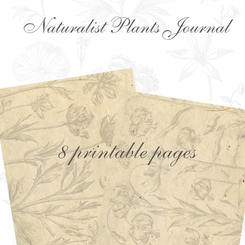 Plants Drawings Printable Note Pages Diary Journal Page - Etsy