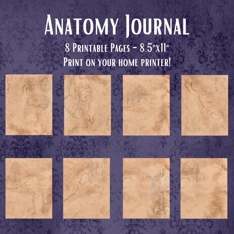 Anatomy Drawings Printable Notes Pages | Diary Journal Pages ...