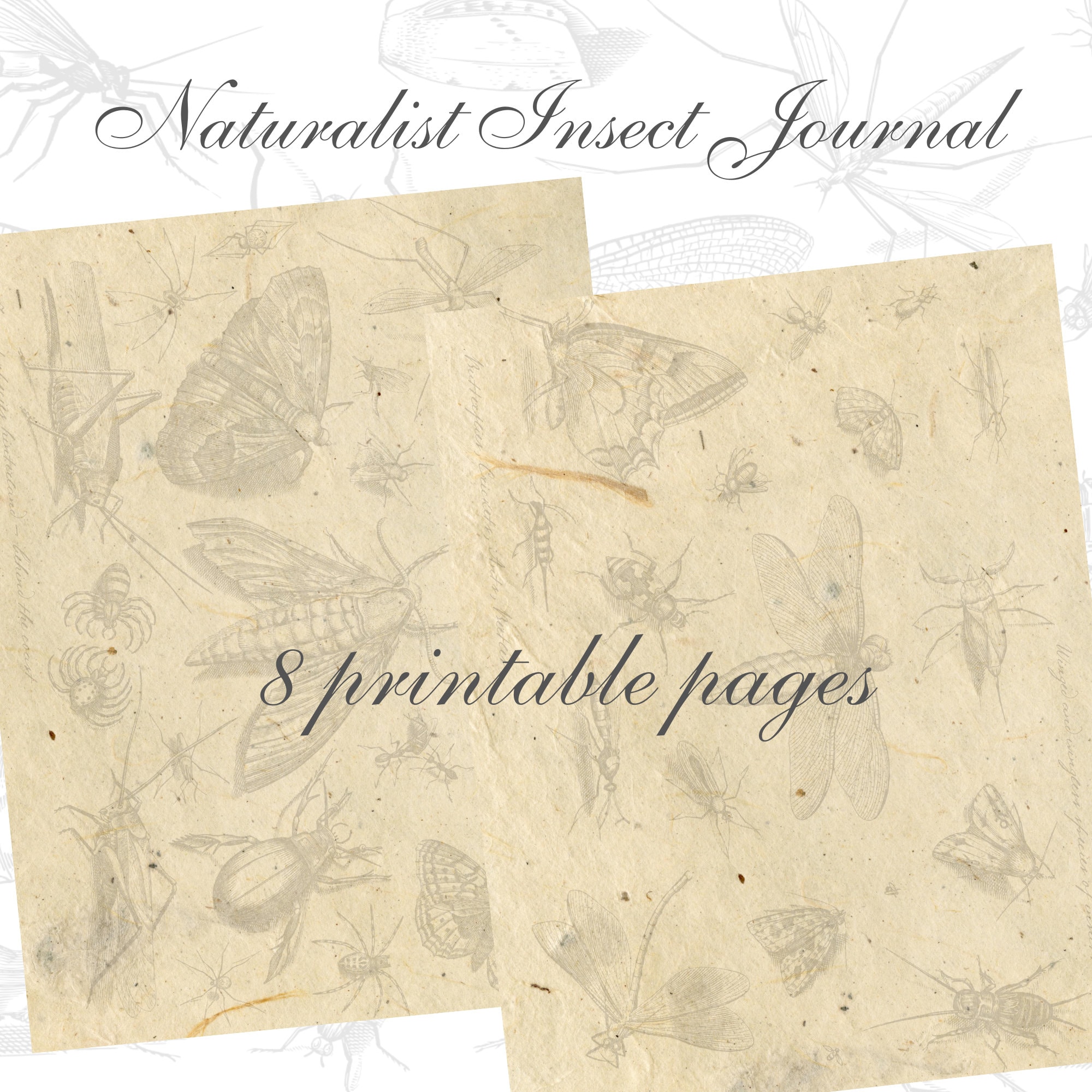 Insects Drawings Printable Notes Pages | Diary Journal Page | Printable ...