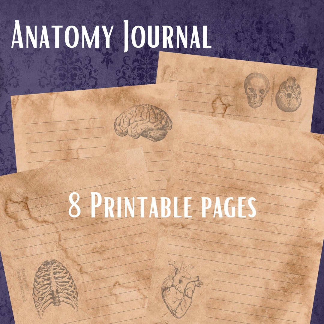 Anatomy Drawings Printable Notes Pages | Diary Journal Pages ...