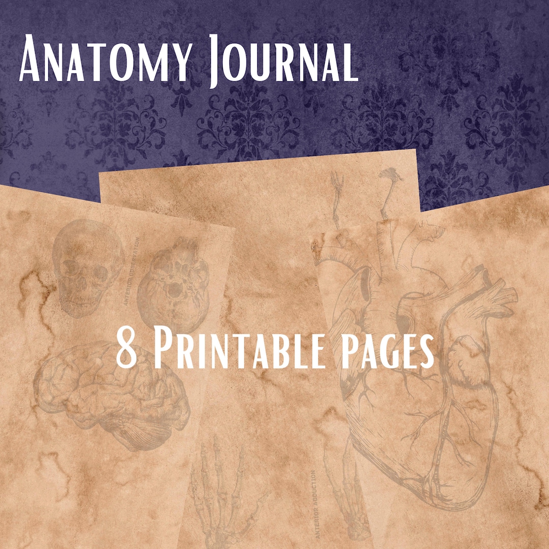 Anatomy Drawings Printable Notes Pages | Diary Journal Pages ...