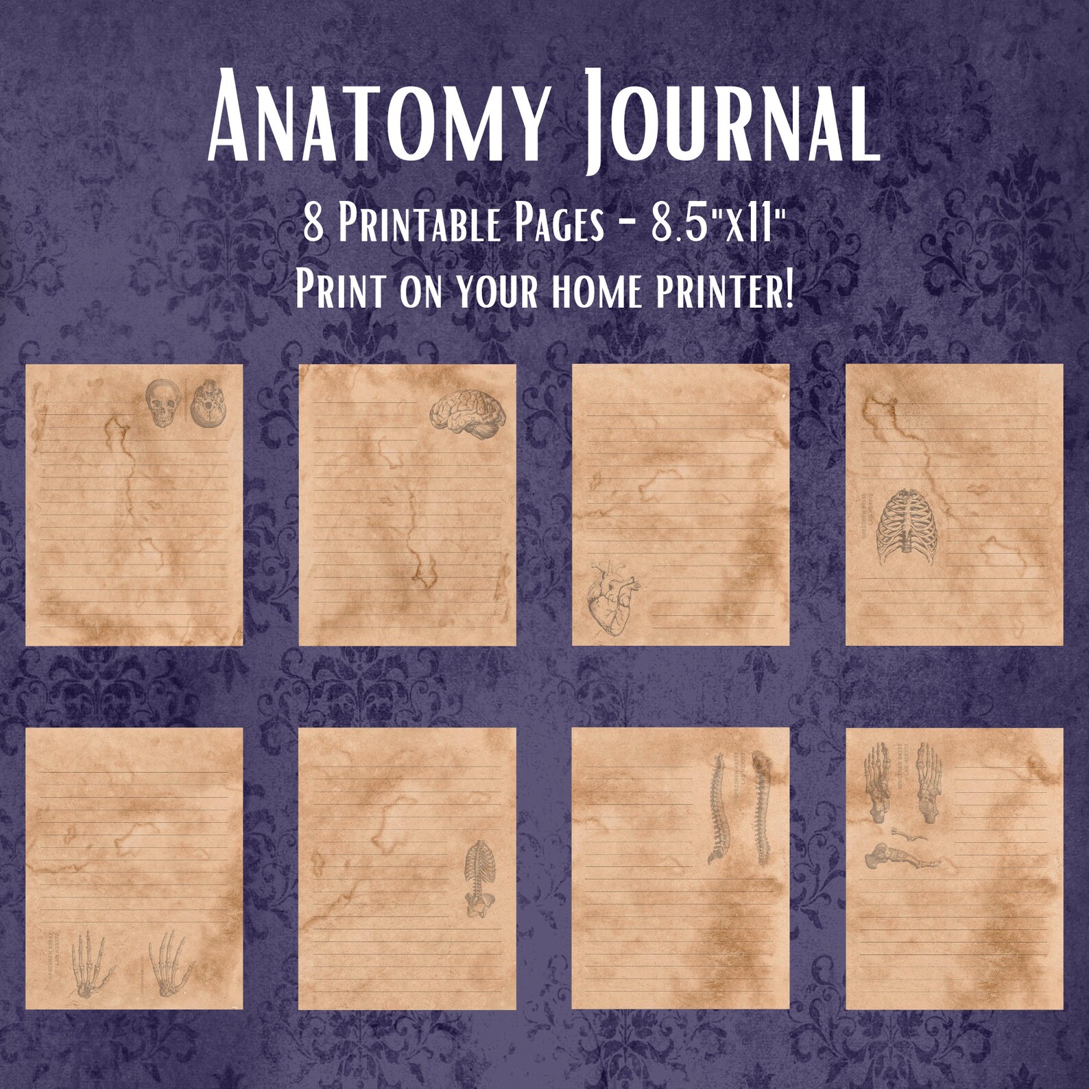 Anatomy Drawings Printable Notes Pages | Diary Journal Pages ...
