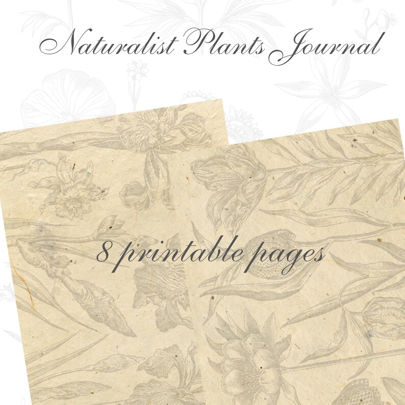 Plants Drawings Printable Note Pages Diary Journal Page - Etsy