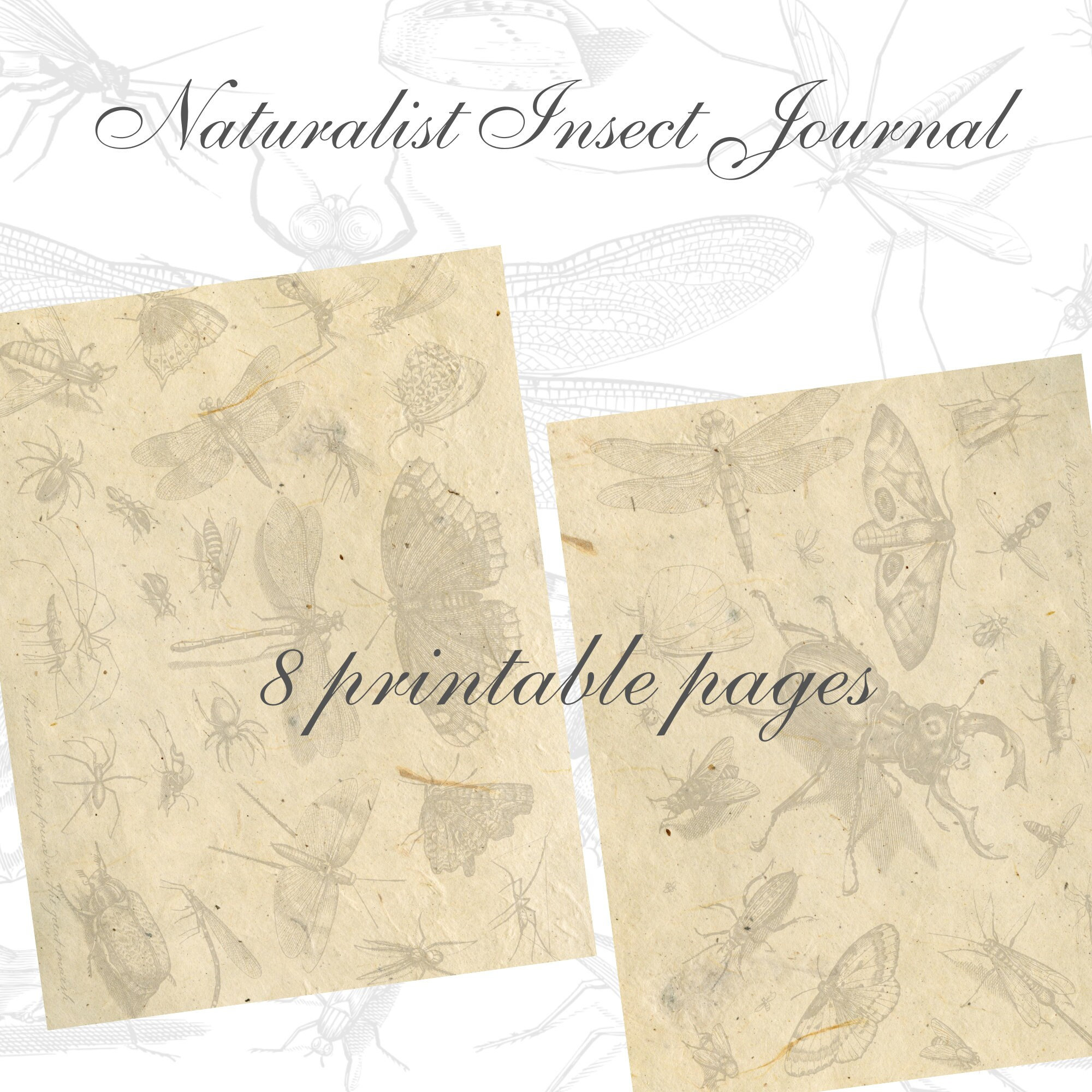 Insects Drawings Printable Notes Pages | Diary Journal Page | Printable ...