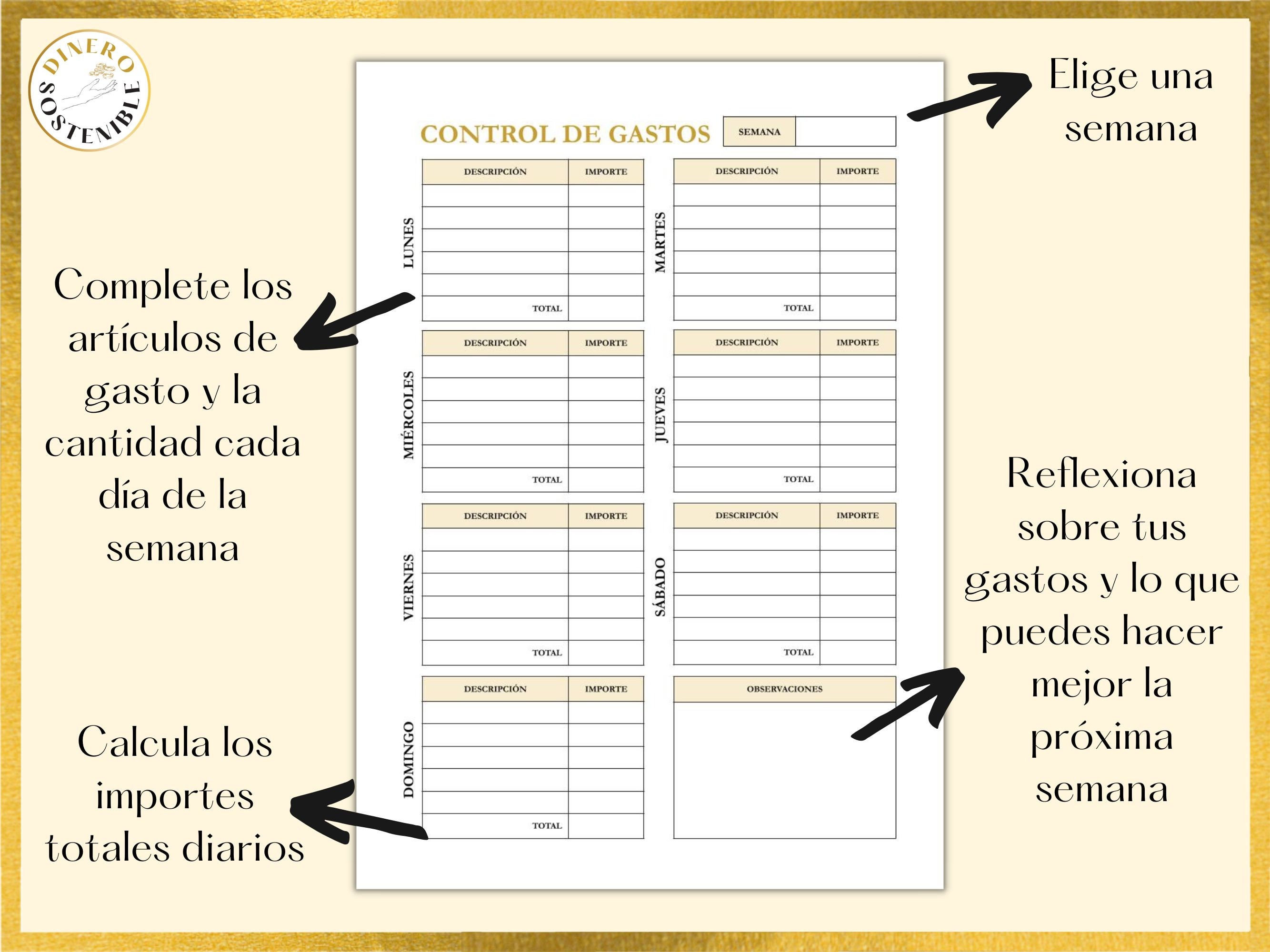 Weekly Expense Control, Printable Weekly Expense Diary, Expense Control ...