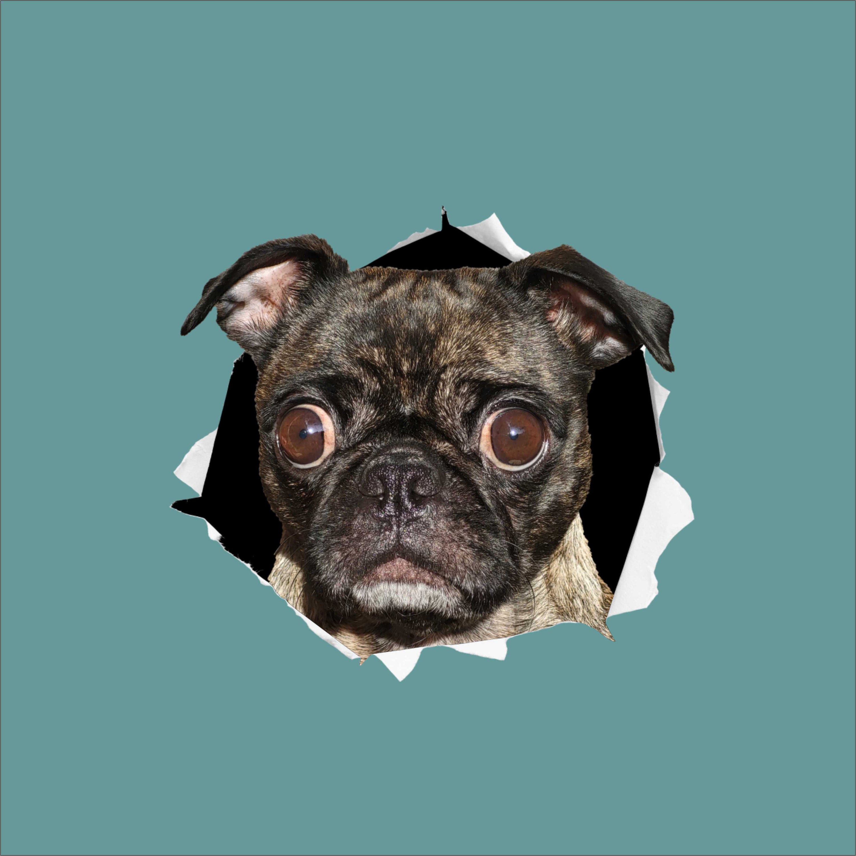 Custom Pet Sticker Using Your Pet Photo Custom Dog Sticker Custom Cat ...