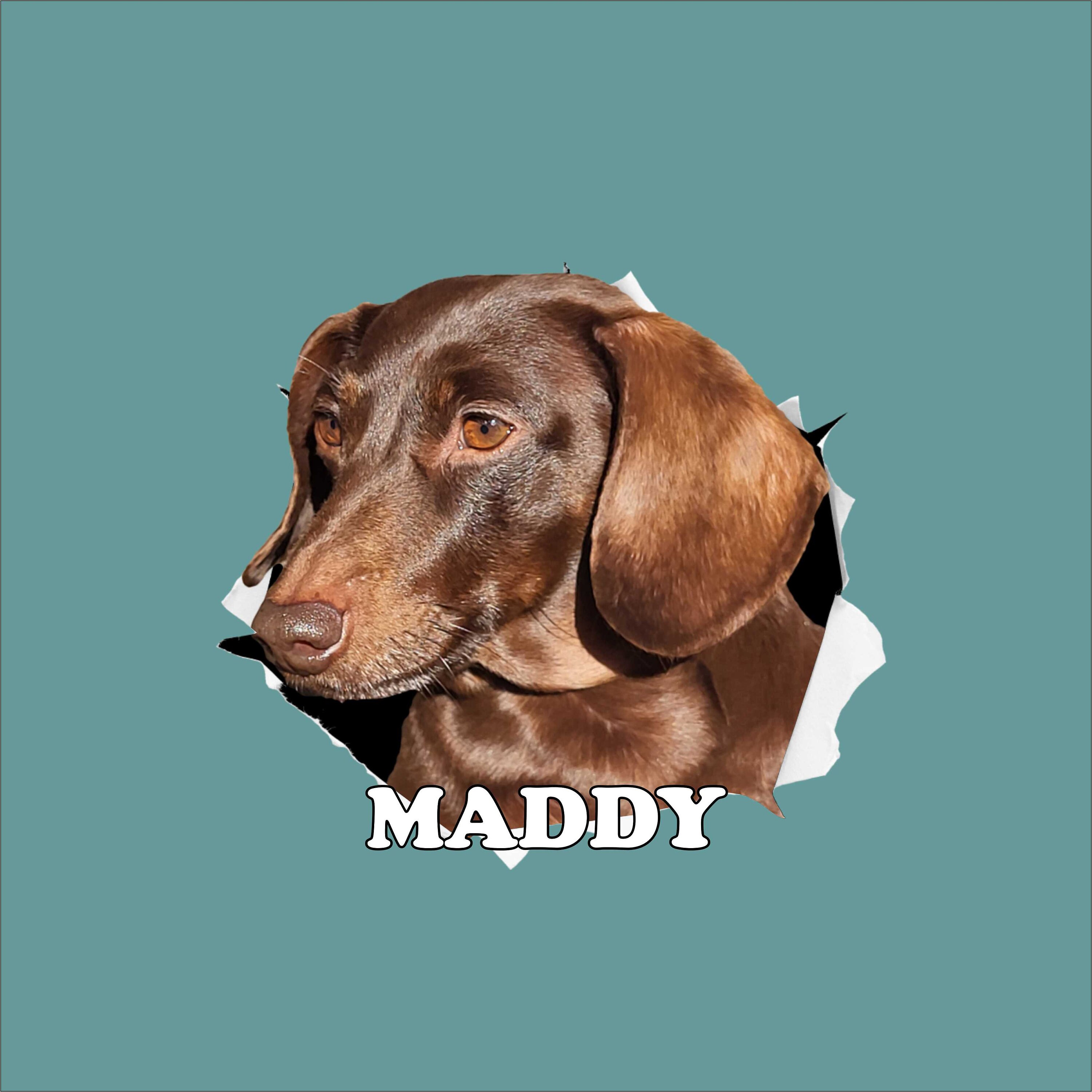 Custom Pet Sticker Using Your Pet Photo Custom Dog Sticker Custom Cat ...