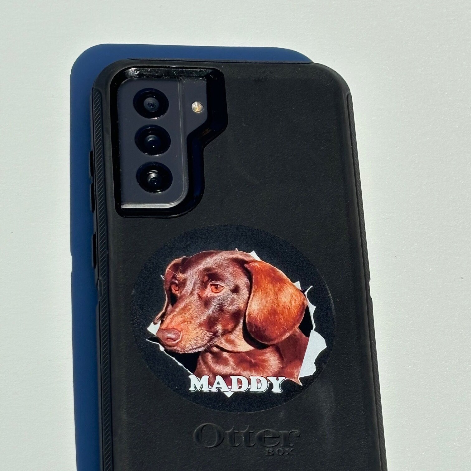 Custom Pet Sticker Using Your Pet Photo Custom Dog Sticker Custom Cat ...