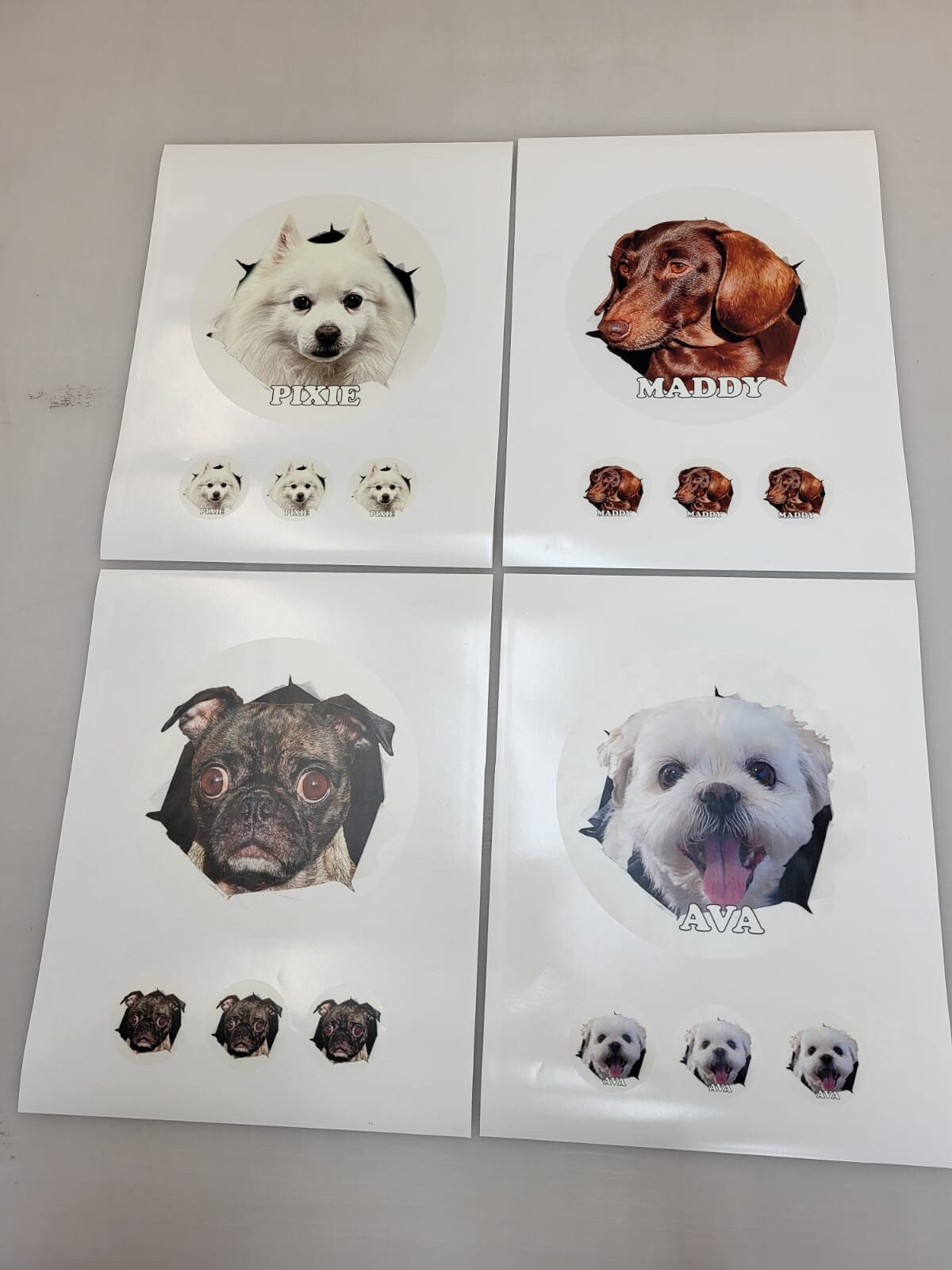 Custom Pet Sticker Using Your Pet Photo Custom Dog Sticker Custom Cat ...