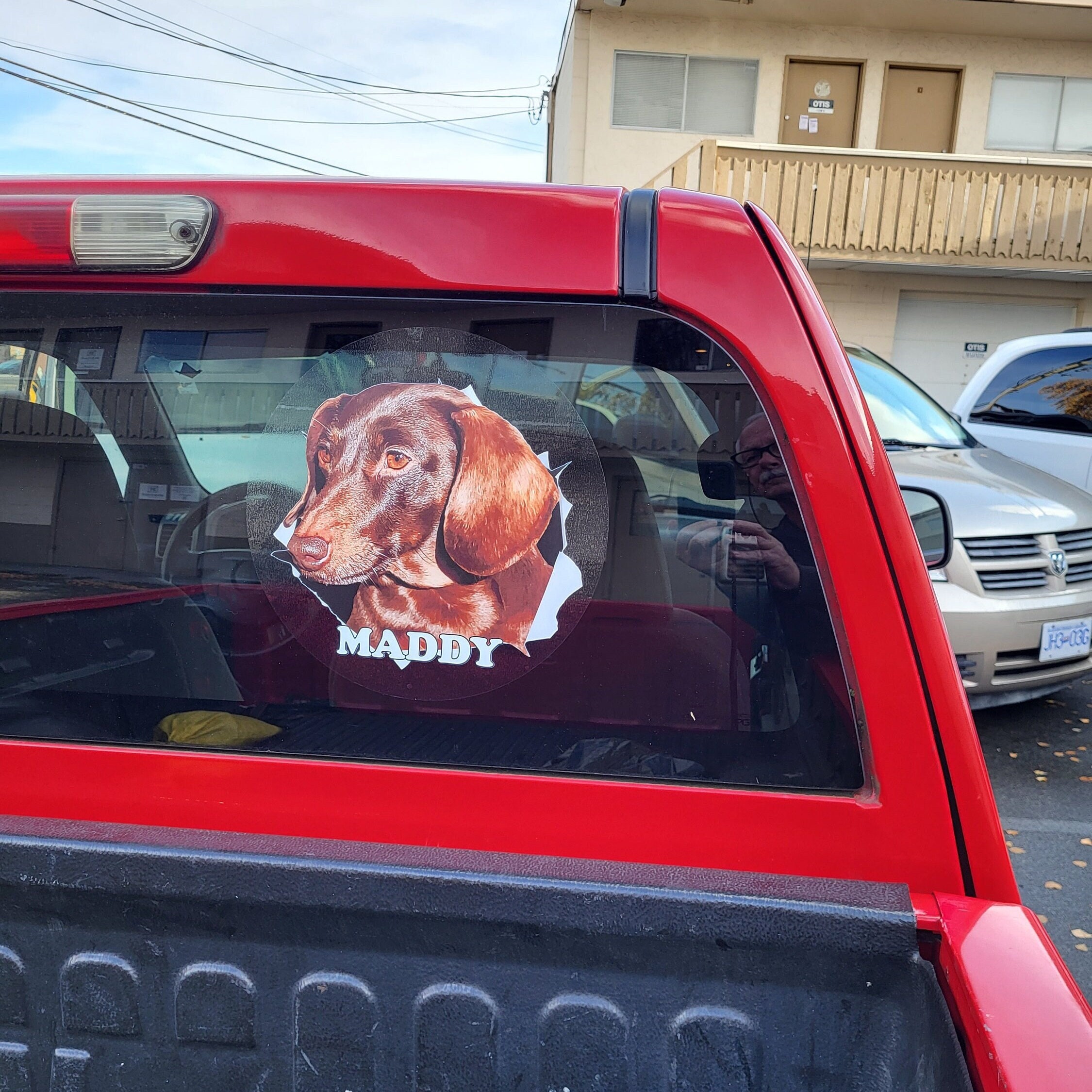 Custom Pet Sticker Using Your Pet Photo Custom Dog Sticker Custom Cat ...