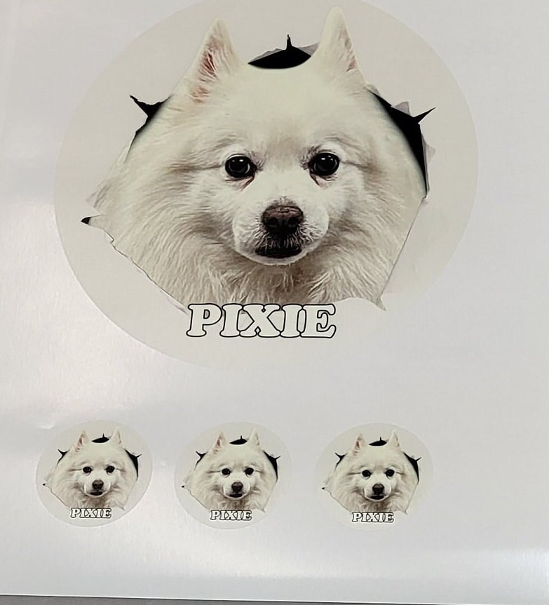 Custom Pet Sticker Using Your Pet Photo Custom Dog Sticker Custom Cat ...