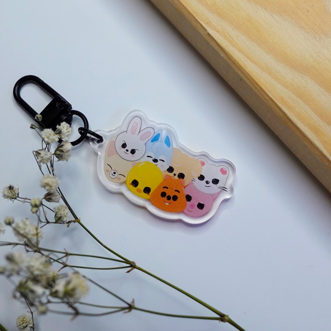 Skzoo Keychain With All Members - Etsy