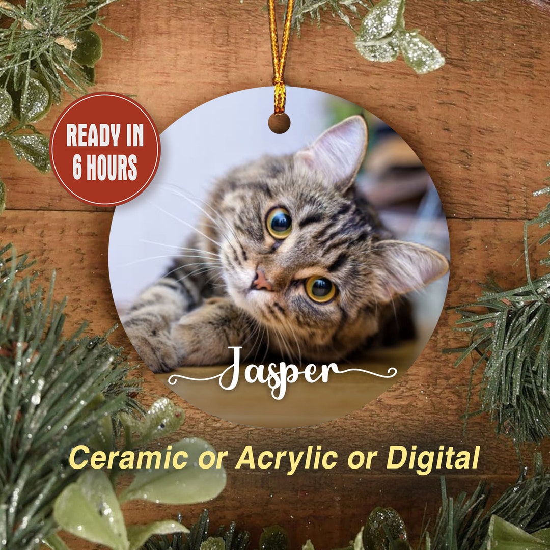 Personalized Cat Ornament Christmas Photo Funny Custom Cat Ornament ...