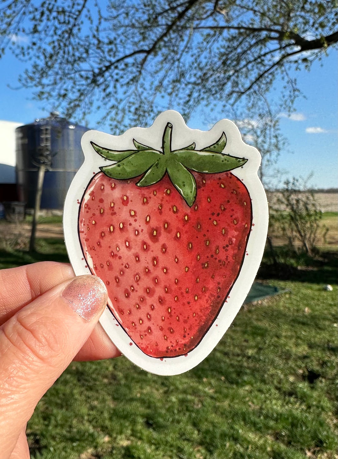 Strawberry Sticker, Strawberry, Fruit, Water Bottle Sticker, Waterproof ...
