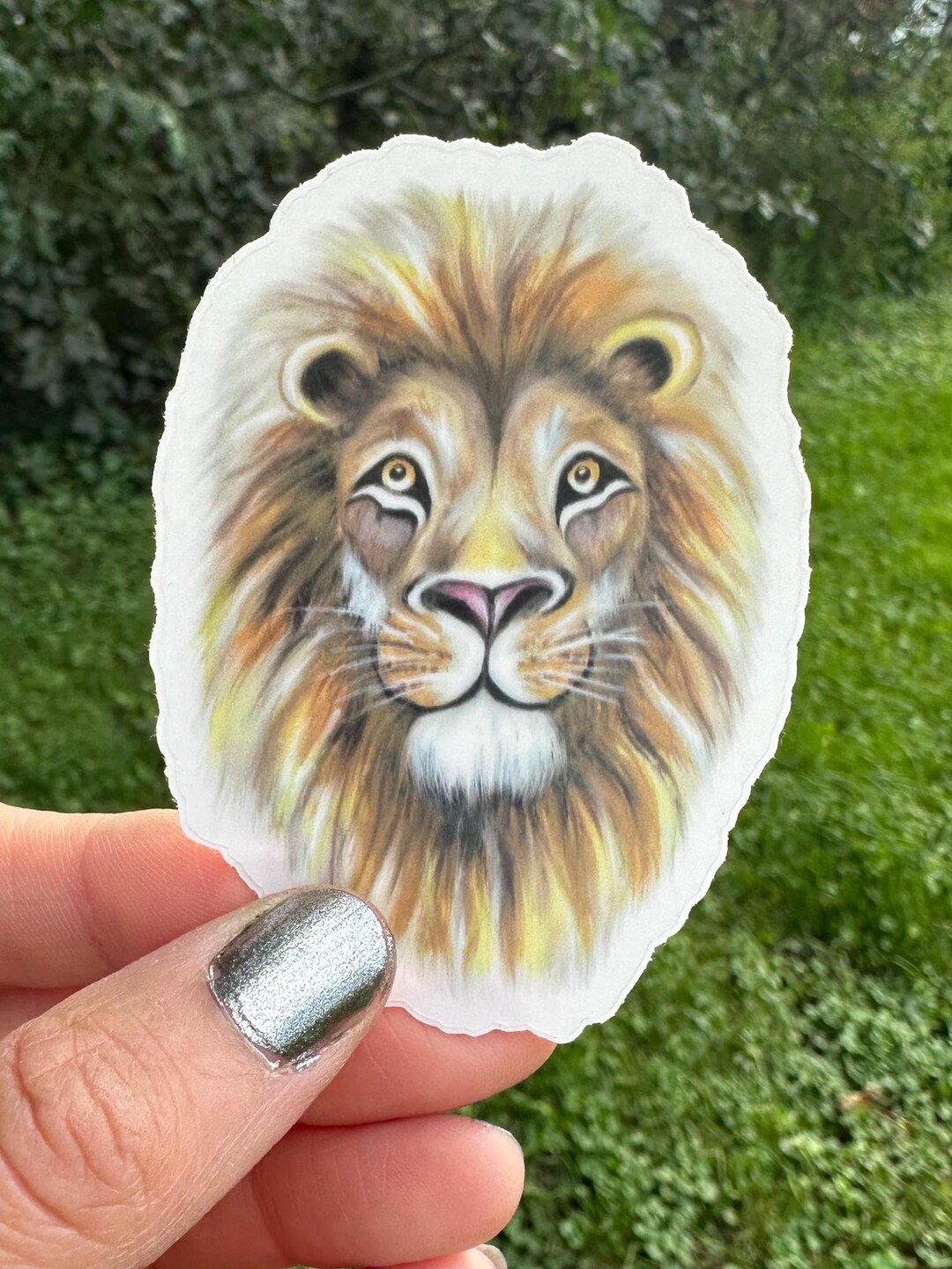 Lion Sticker - Water Bottle Sticker - Lion Stickers - Lion Decal ...
