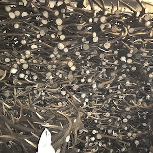 Wholesale Lot Deer Antler 5kg - 1000kg - Etsy
