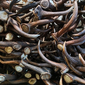 Wholesale Lot Deer Antler 5kg - 1000kg - Etsy