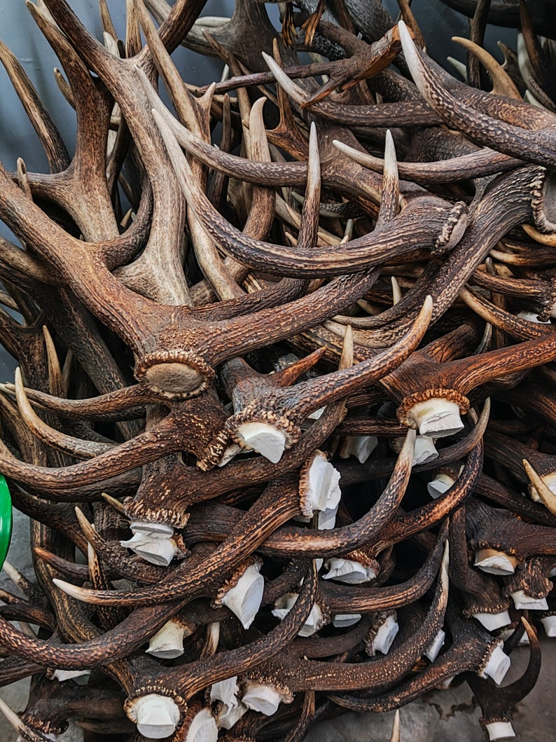 Wholesale Lot Deer Antler 5kg - 1000kg - Etsy