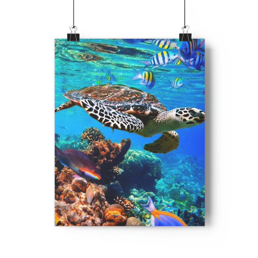 Sea Turtle Poster: Tropical Reef Fine Art Print - Etsy