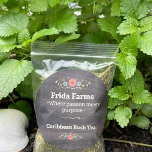 Caribbean Bush Tea - Etsy