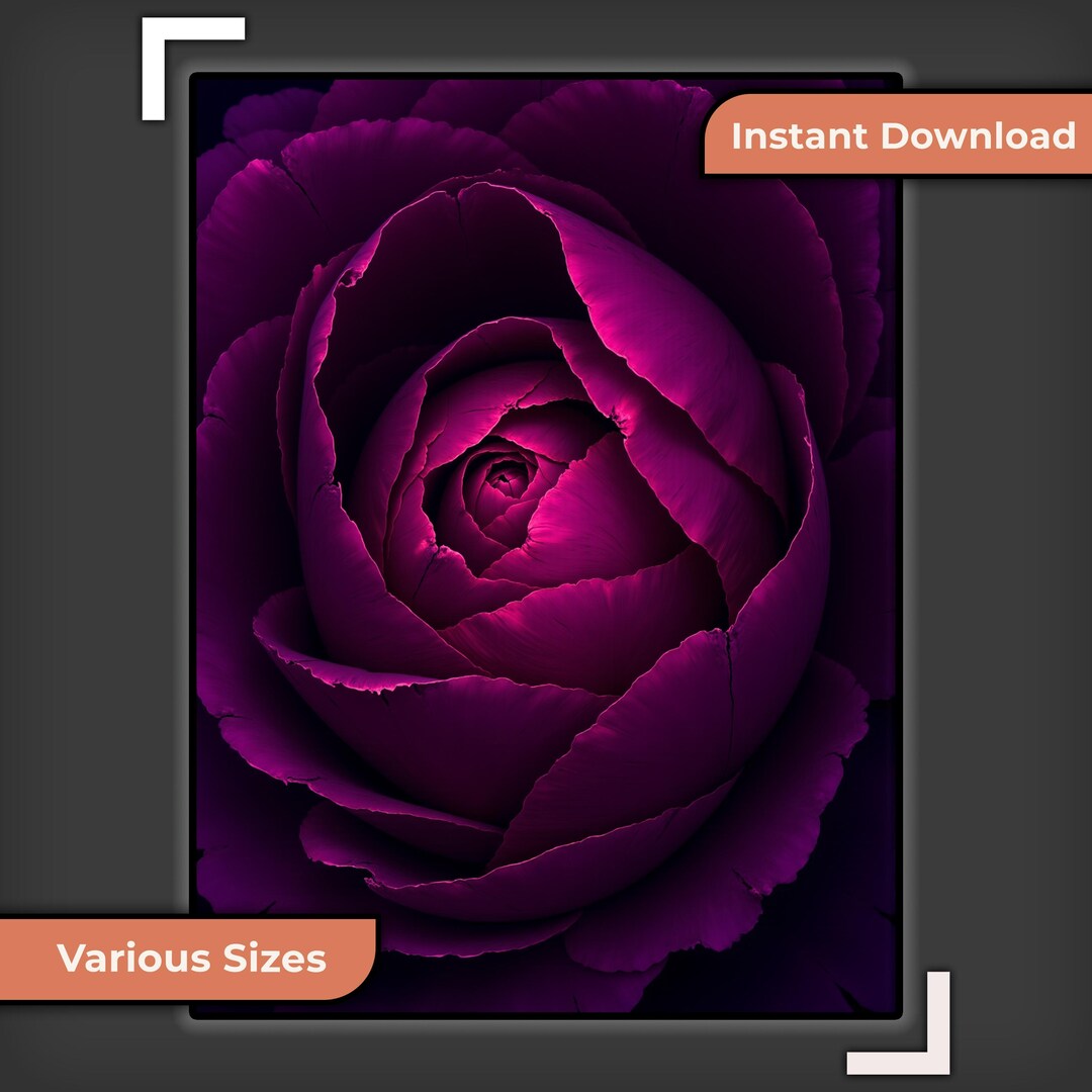 Purple Rose Wall Art – Elegant Floral Print in Deep Magenta (digital ...
