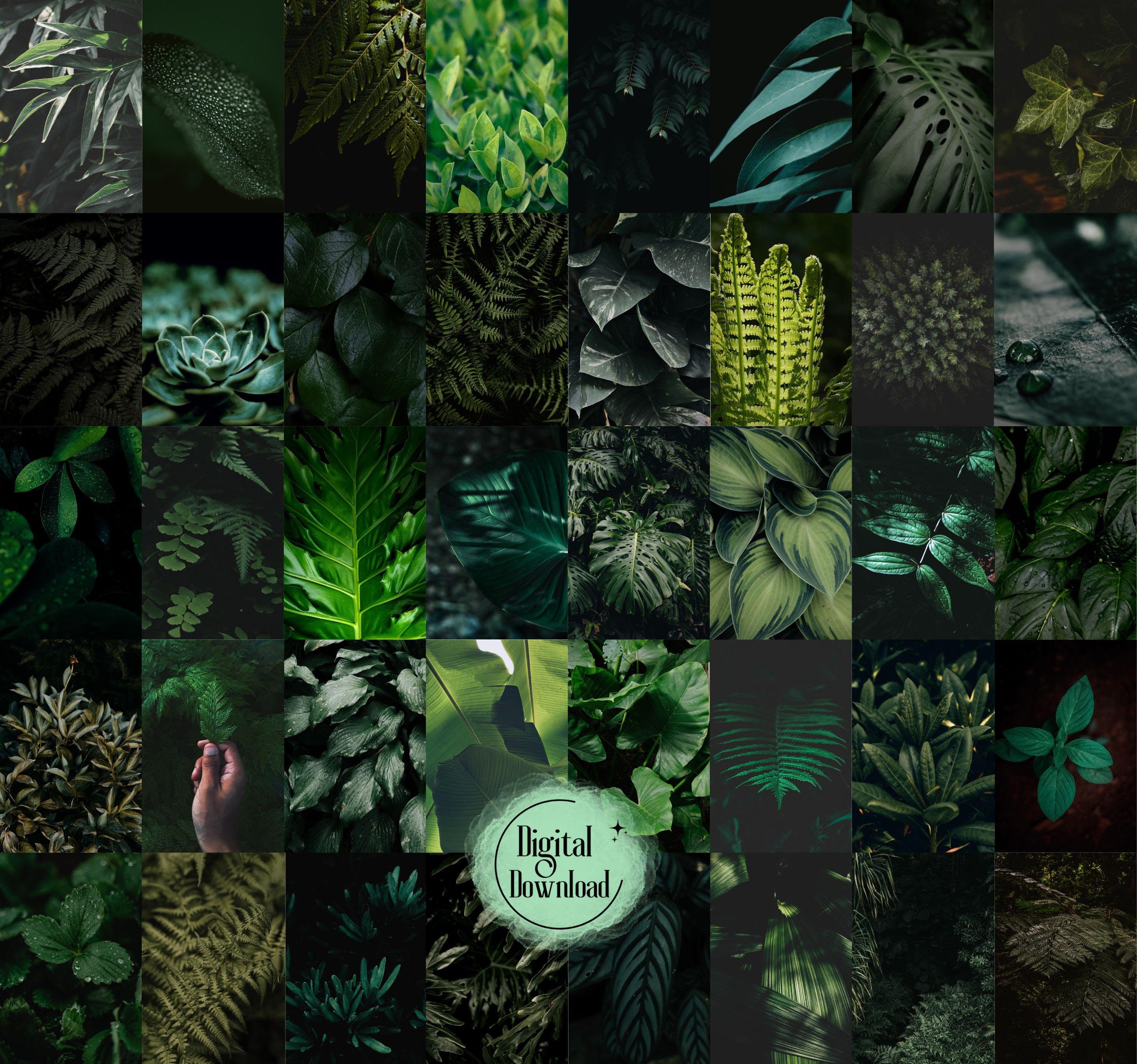 150 Pcs Green Collage Kit, Dark Green Aesthetic Collage Kit, Botanical ...
