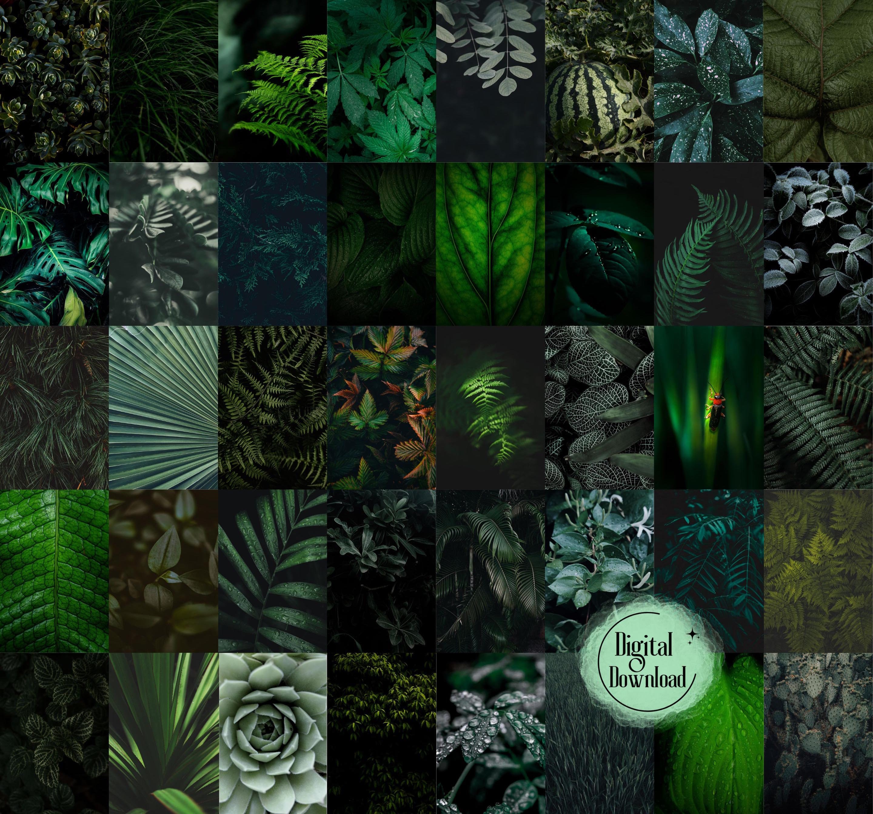 150 Pcs Green Collage Kit, Dark Green Aesthetic Collage Kit, Botanical ...