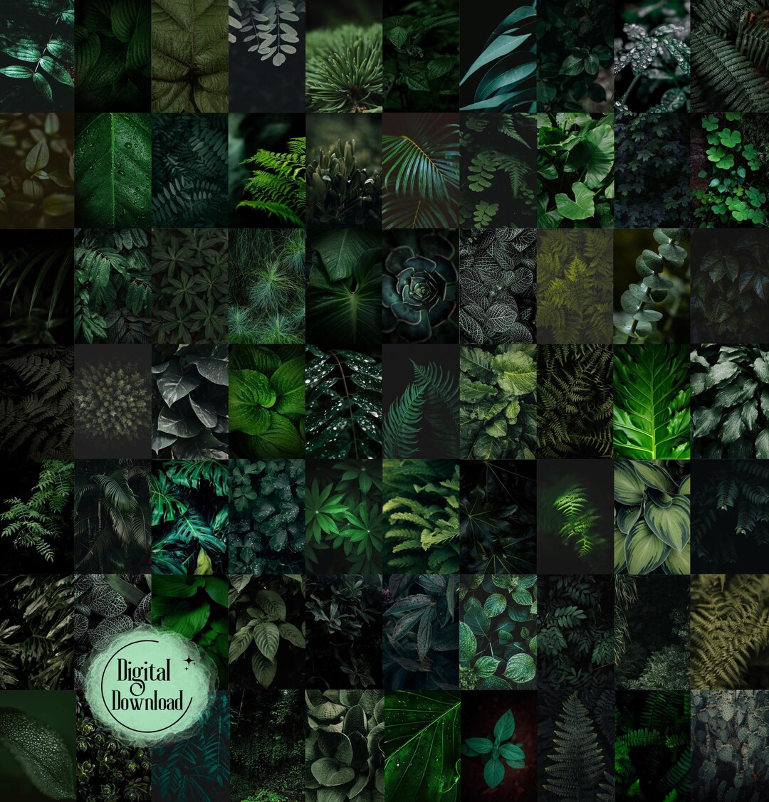 150 Pcs Green Collage Kit, Dark Green Aesthetic Collage Kit, Botanical ...
